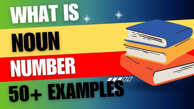 Noun: Number | Definition, Types, and 50+ Examples