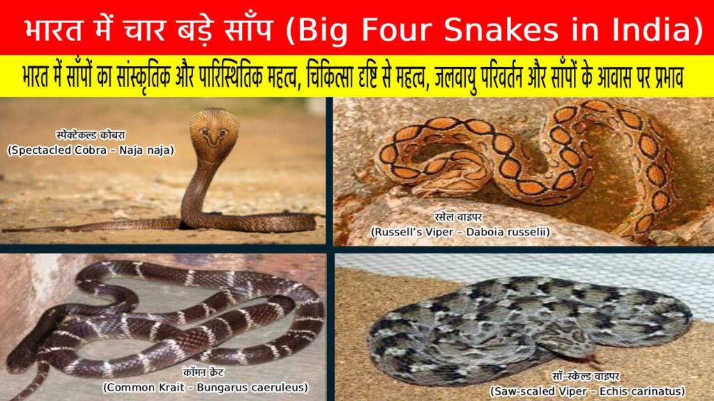 भारत में चार बड़े साँप (Big Four Snakes in India) और जलवायु परिवर्तन का ...